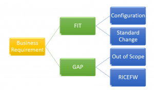 Quick Tips To Mastering RICEFW In 2023 - Saptutorials.in