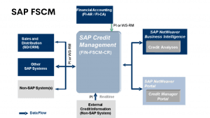 SAP FSCM : A Deep Dive Into SAP FSCM Management - Saptutorials.in