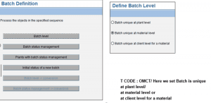 How To Optimize Batch Management In Sap - Saptutorials.in
