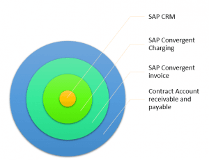 What Role Does SAP BRIM Play In The SAP Ecosystem? - Saptutorials.in