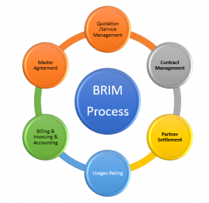 What Role Does SAP BRIM Play In The SAP Ecosystem? - Saptutorials.in