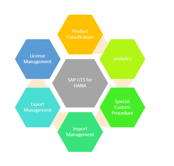 The Benefits Of SAP GTS For International Businesses: A Complete ...