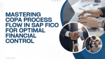 Mastering COPA Process Flow In SAP FICO For Optimal Financial Control ...