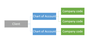 Mastering The Chart Of Accounts In SAP FICO: A Comprehensive Guide ...