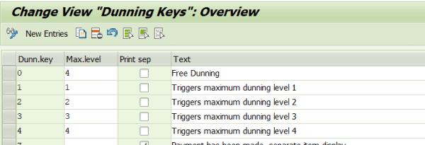 Mastering The Dunning Process For Effective B2B Debt Collection In SAP ...
